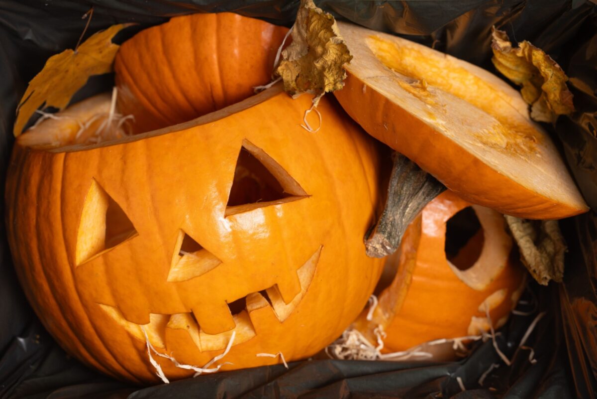 Illinois Homeowners Use These Tricks To Keep Pumpkins From Rotting Too Soon