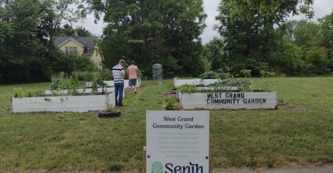 Google Maps Reveals The Most Active Urban Garden Projects In Detroit ...