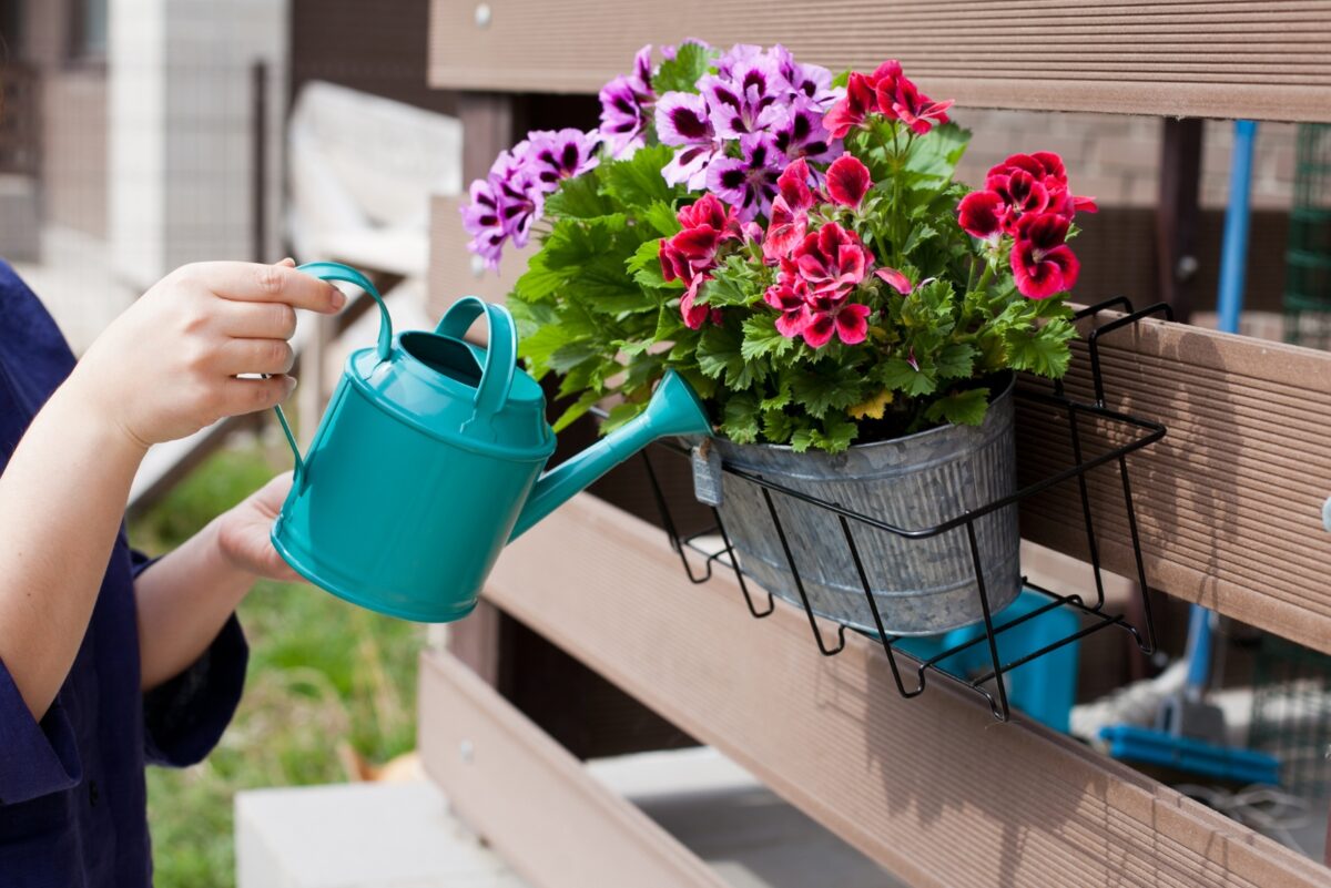 Smart Watering Hack New York Gardeners Use For Upright Flowers