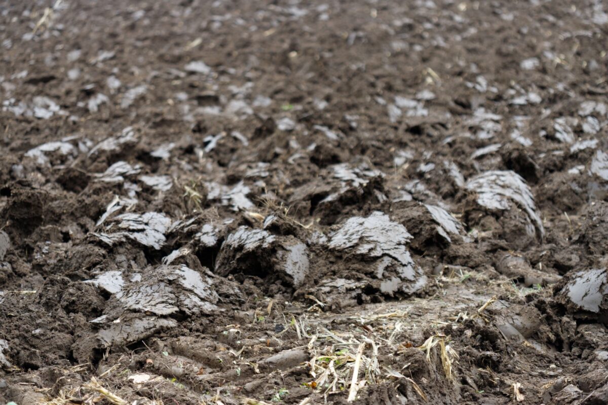 The One Soil Prep Mistake Oregon Gardeners Make In Early Winter