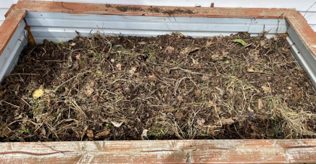 Why Georgia Gardeners Are Feeding Their Soil Before Christmas This Year