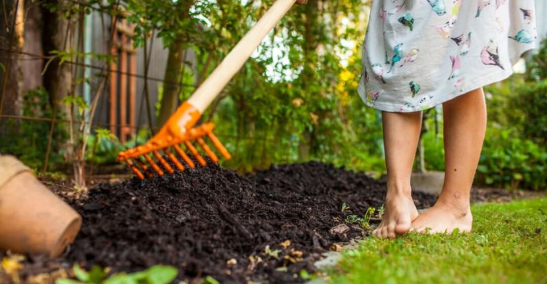 Easy Gardening Tips To Prepare Your Texas Yard For 2026