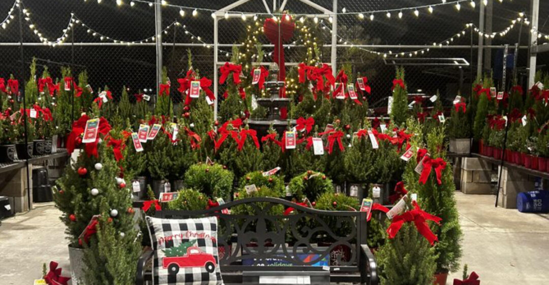 The Michigan Garden Center Starting Christmas Preparation As Early As ...
