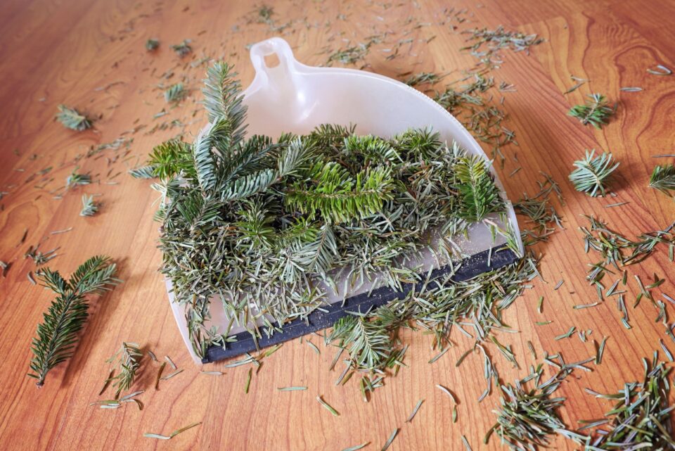 The Smart Method Ohio Homeowners Use To Prevent Christmas Tree Needle Drop