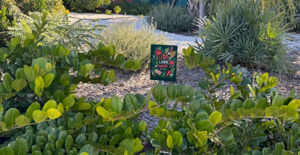 Why Florida Residents Pick Coastal Native Plants Over Grass