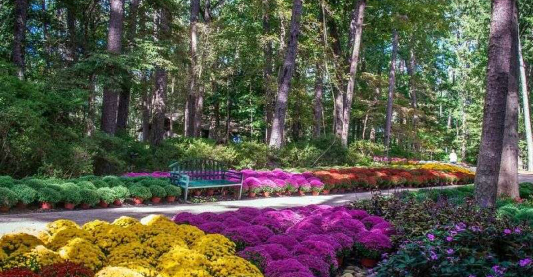 Why Garden Tourists Are Visiting Arkansas’ Garvan Woodland Gardens This ...