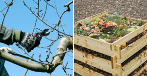 8 Things Every Ohio Gardener Should Do In February