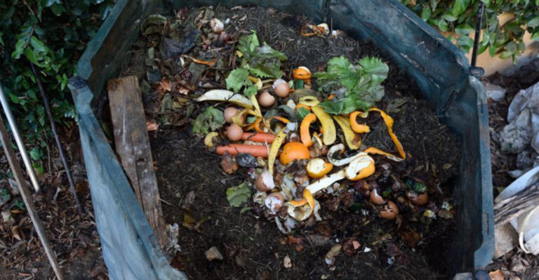 8 Winter Composting Problems Oregon Gardeners Deal With