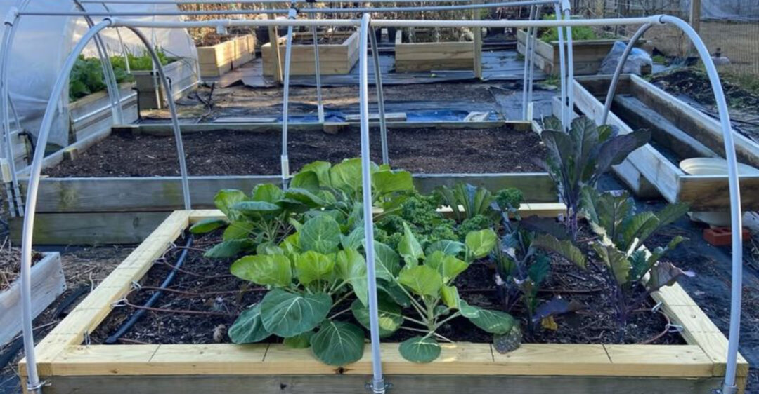 9 Garden Projects You Can Start Now Instead Of Waiting For Spring In ...