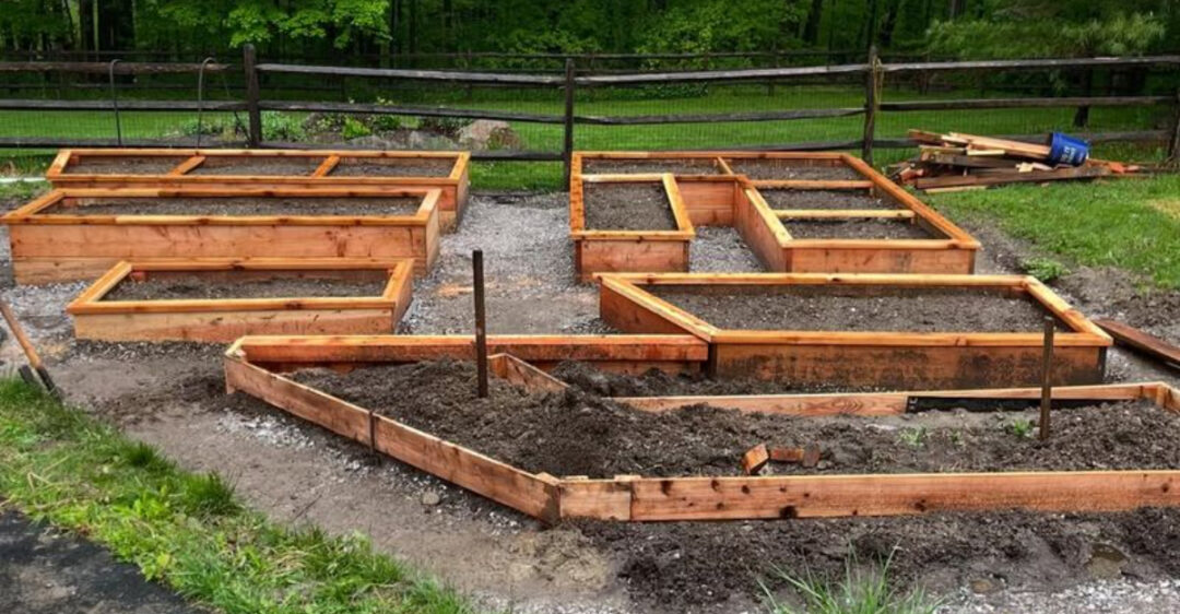 9 Gardening Activities Massachusetts Homeowners May Need Permission For