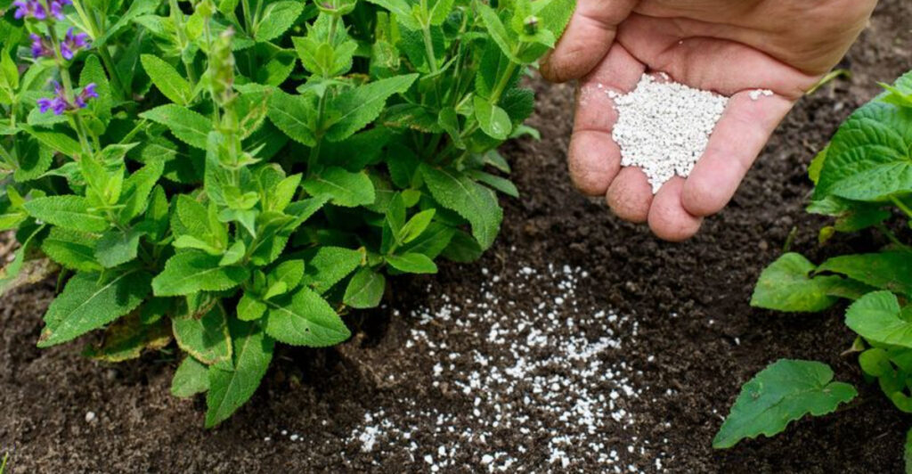 9 Gardening Mistakes That Hurt Your Oregon Plants