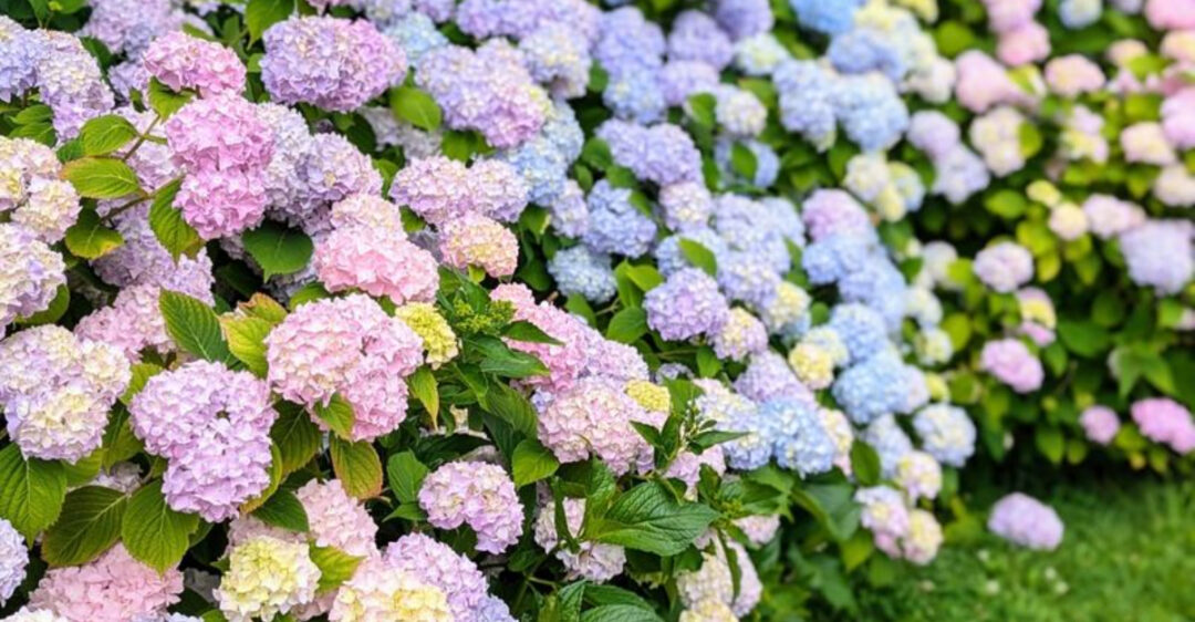 9 Plants New York Gardeners Should Not Touch Until Spring