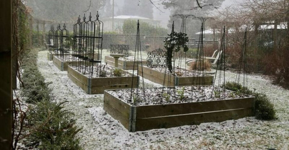 9 Things Every Gardener Should Do When Snow Starts To Melt In Vermont