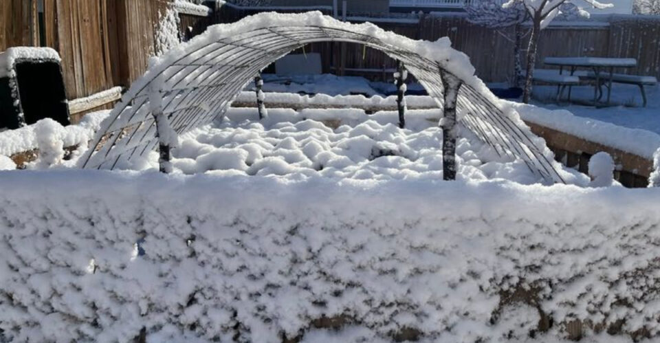 9 Things Snow Is Quietly Doing To Minnesota Gardens