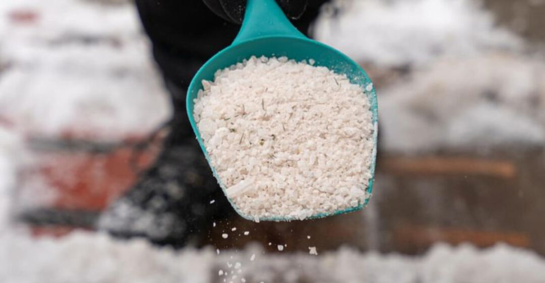 How Roadside Salt Can Damage Your Plant Life In Illinois