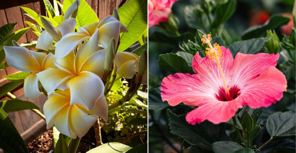 These 11 Plants Fail In Oregon's Winter Soil (Try These Instead)