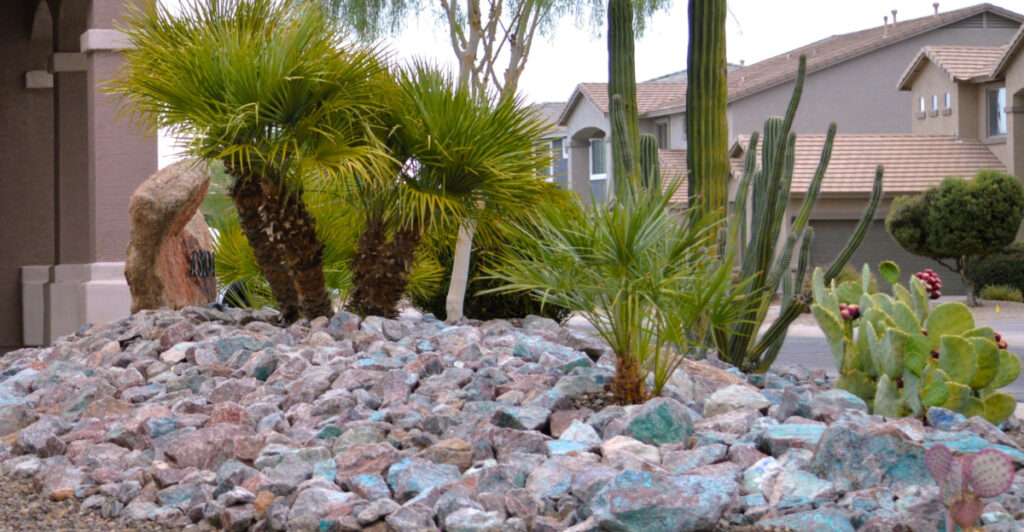 This Simple Outdoor Detail Is Changing How Your Arizona Yard Looks