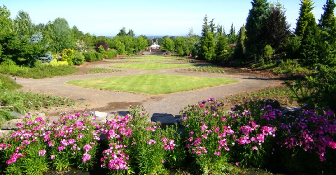 Where To See Hellebores In Full Winter Bloom: Oregon’s Most Beautiful ...