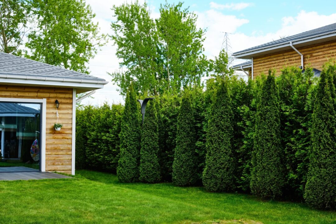 Why Virginia Homeowners Are Choosing Privacy Gardens Over Fence Lines