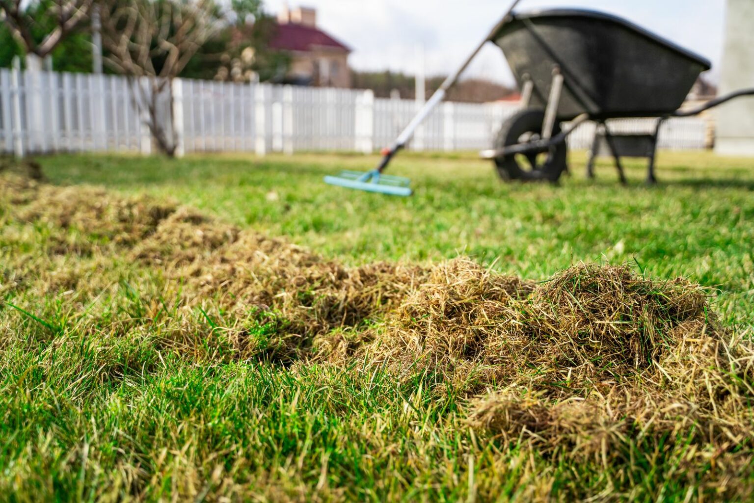 Prepare Your Pennsylvania Garden For A Successful Spring Season With ...