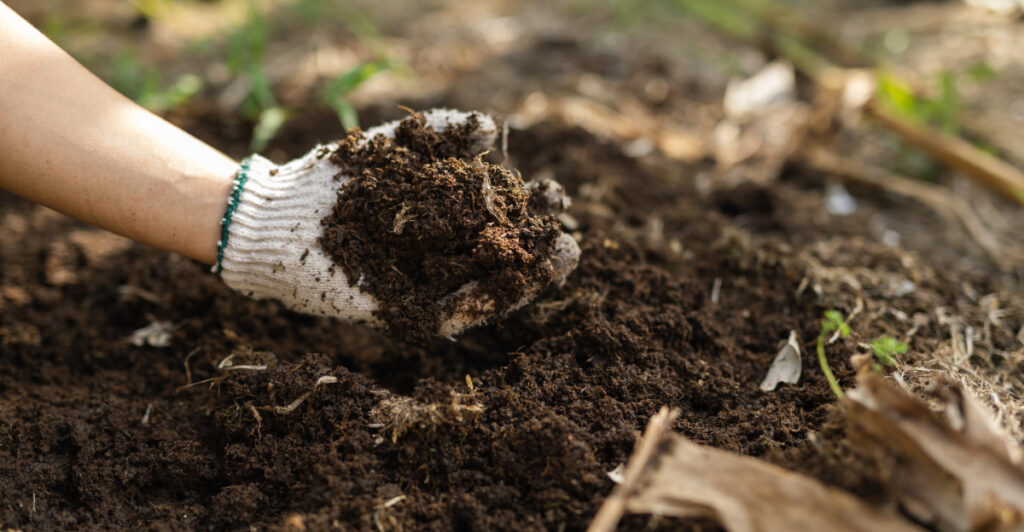 The Simple Soil Amendments Your Arizona Garden Actually Needs