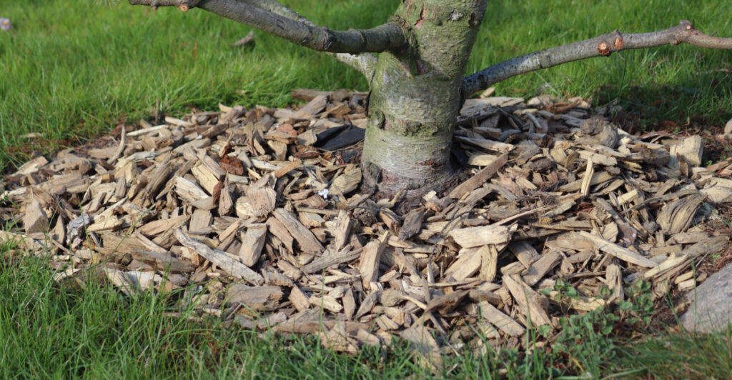 This Free Mulch Can Help Oregon Gardens Before Summer Heat Sets In