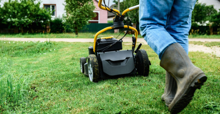 What Happens To A Missouri Lawn After A Month Without The Mower ...