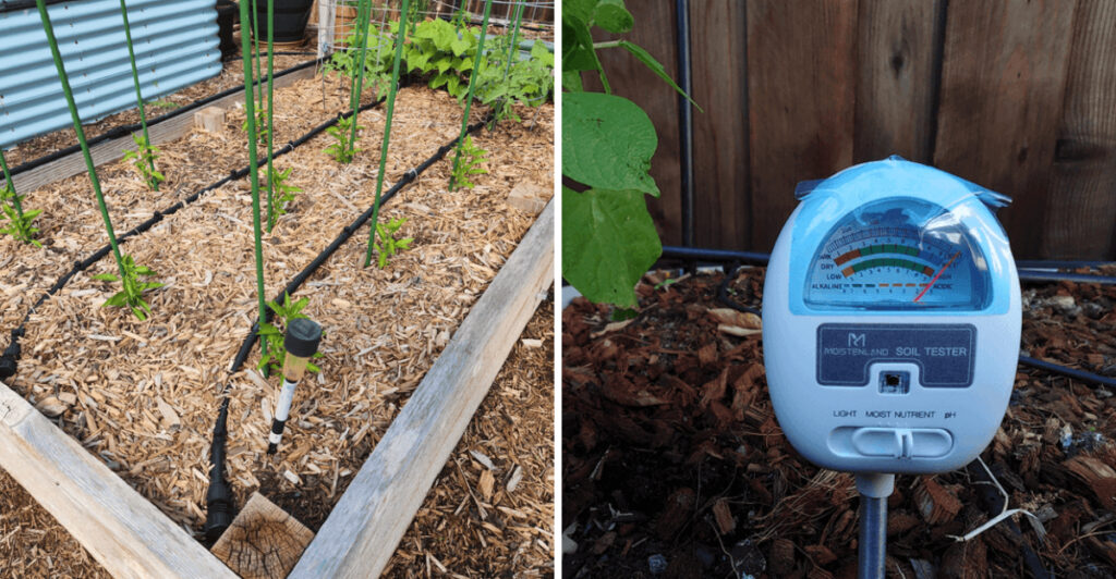 8 Summer Watering Habits Georgia Gardeners Should Break Fast ...