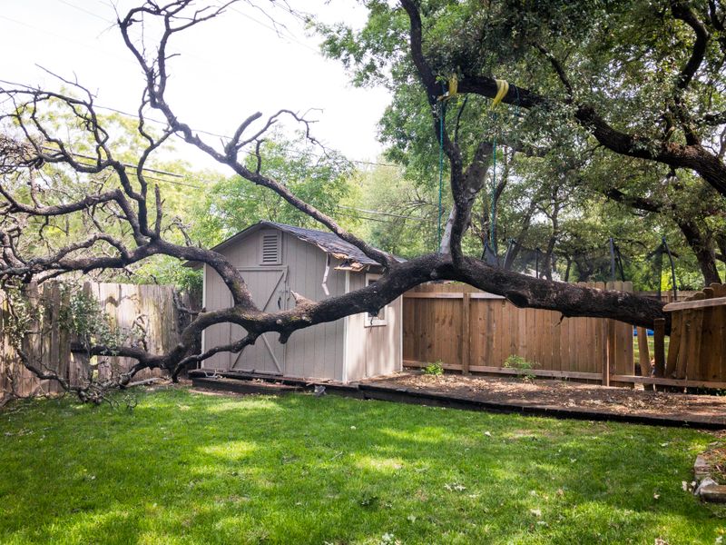 Who Is Responsible When A Tree Falls On A Fence Between Two Oregon ...