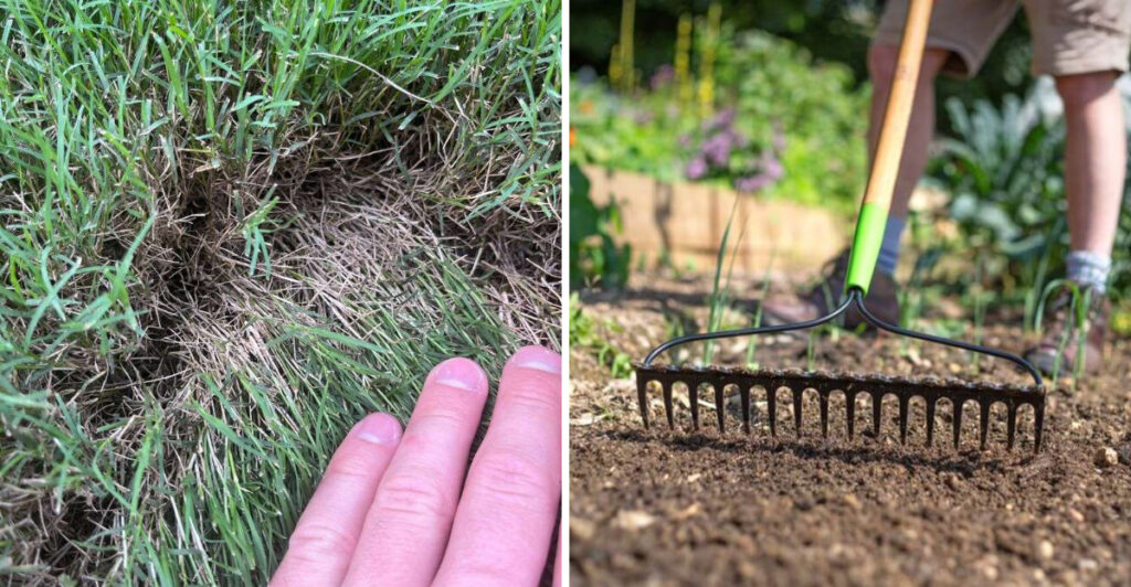 Heavy Equipment Is Not The Answer For A Bumpy Texas Lawn (Here Is What ...