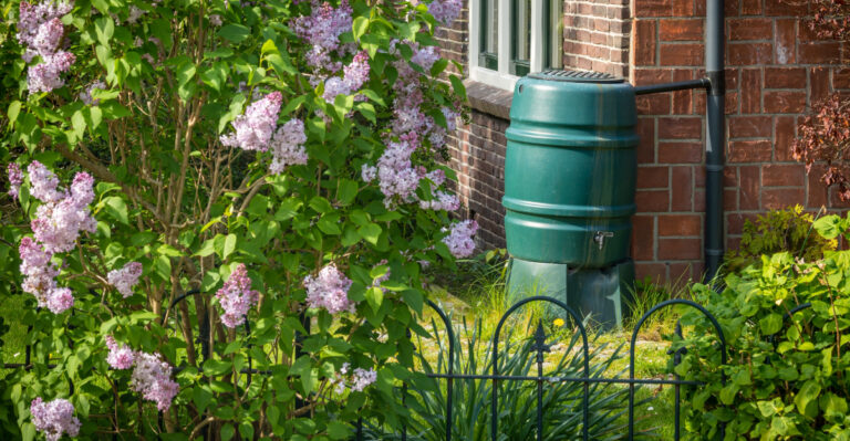 How To Set Up A Rain Barrel System In North Carolina That Feeds A ...