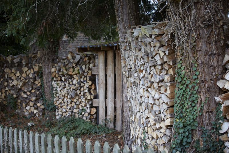 Ohio Firewood And Brush Pile Habits That Create Tick Habitat Right Next ...