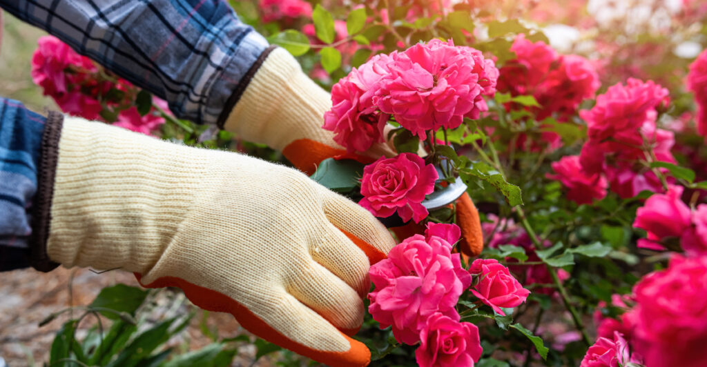 These 9 Simple Changes Help Oregon Plants Grow Stronger