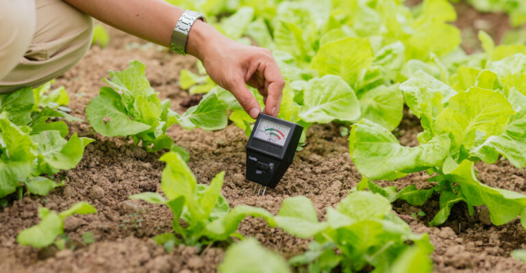 Why North Carolina Soil Acidity Varies By Region And What It Means For ...